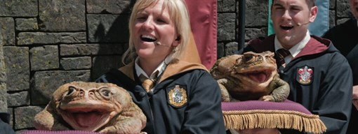 All shows at Universal Studios Hollywood - Themeparkplanner